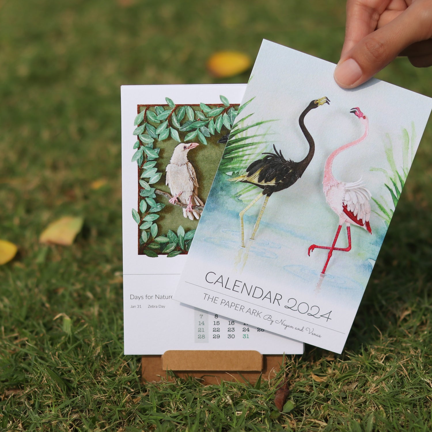 Collections – The Paper Ark