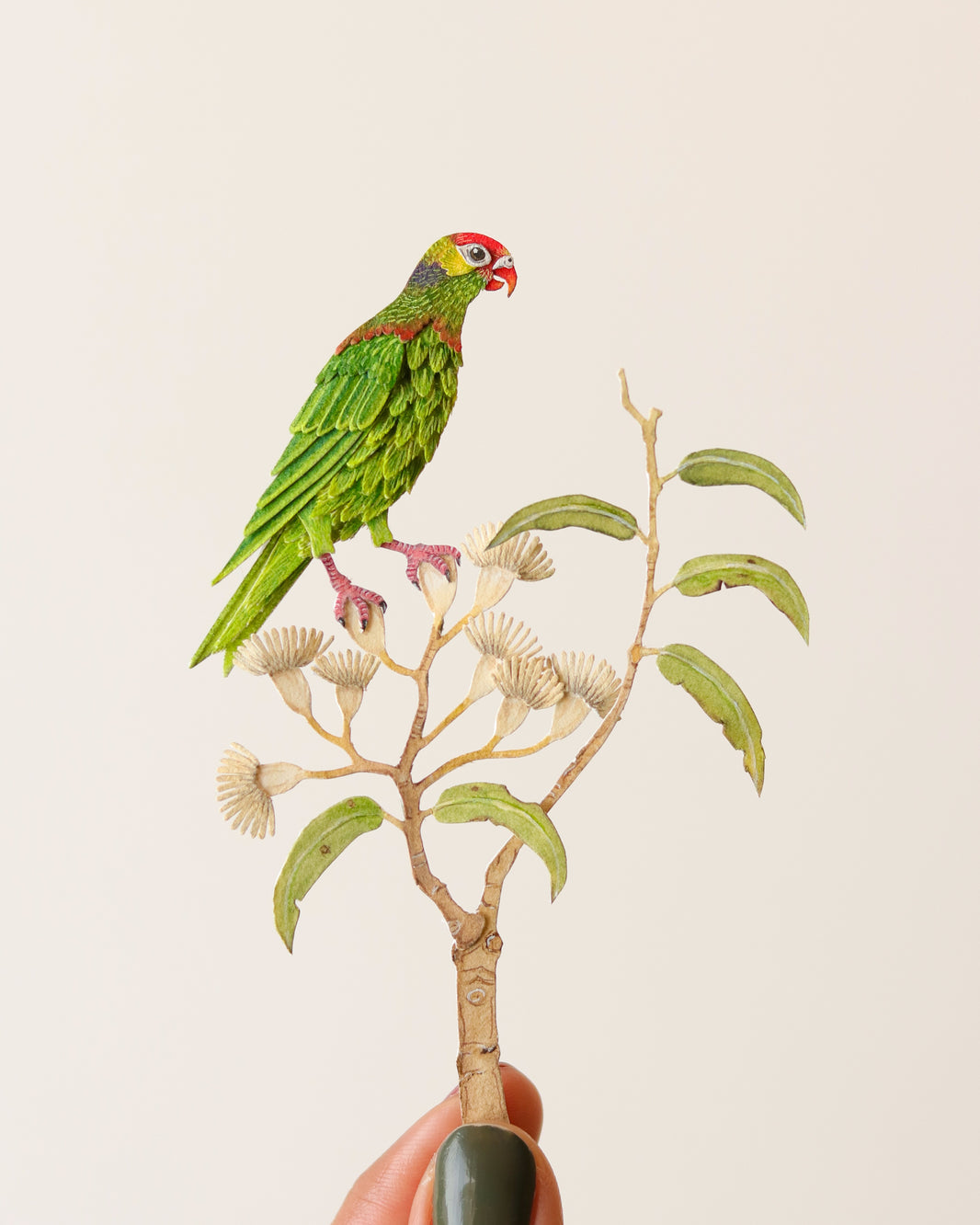 Parrot Project – The Paper Ark