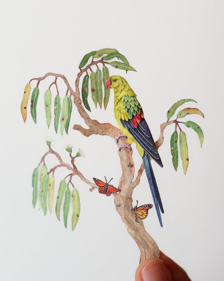 Parrot Project – The Paper Ark