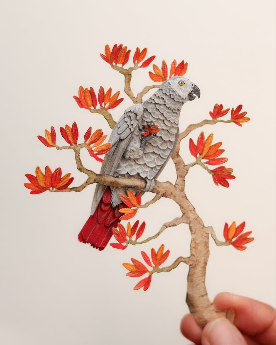 Parrot Project – The Paper Ark