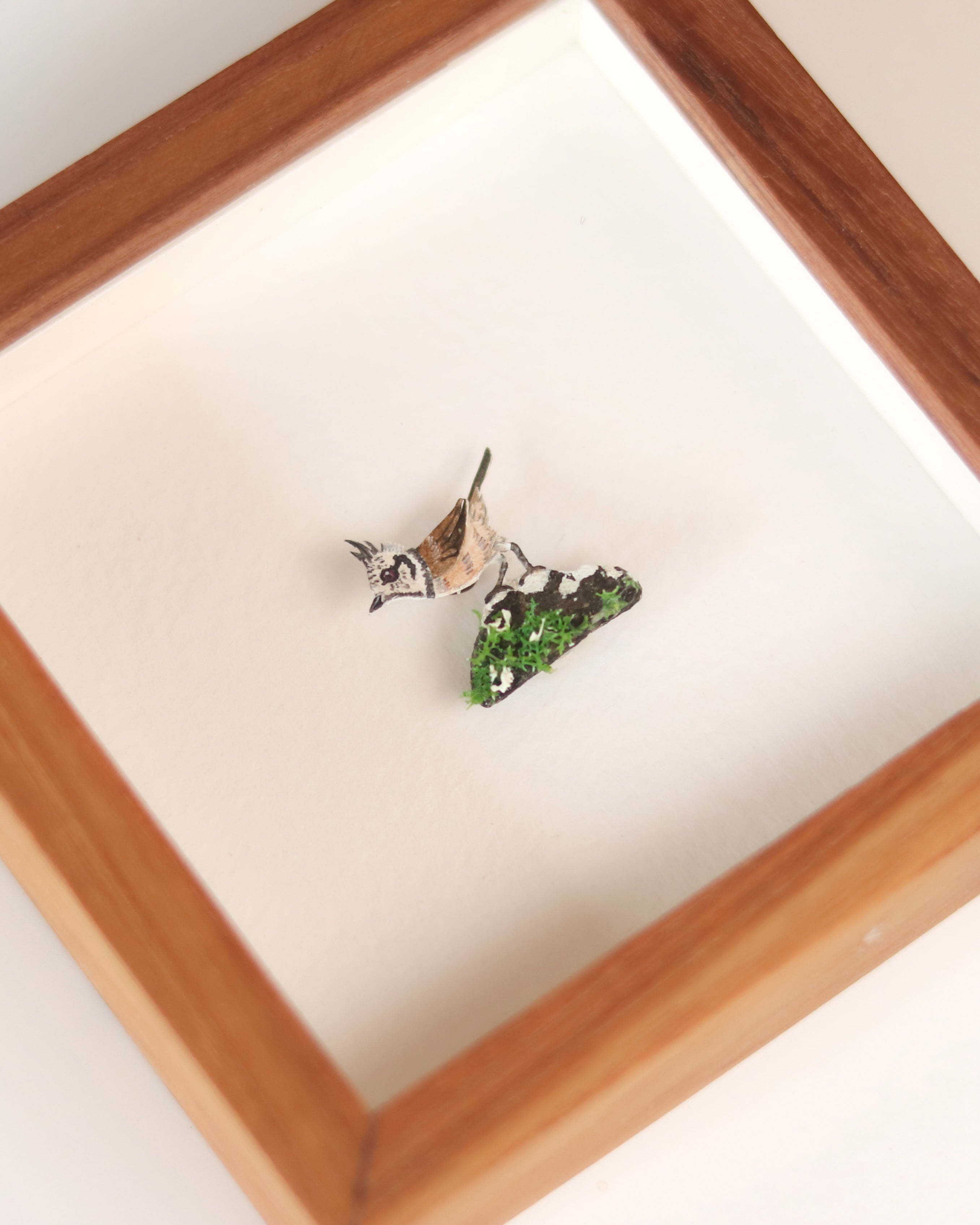 Crested Tit – The Paper Ark
